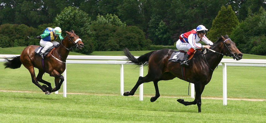 Everything You Wanted to Know About Derbys - Slosh Spot