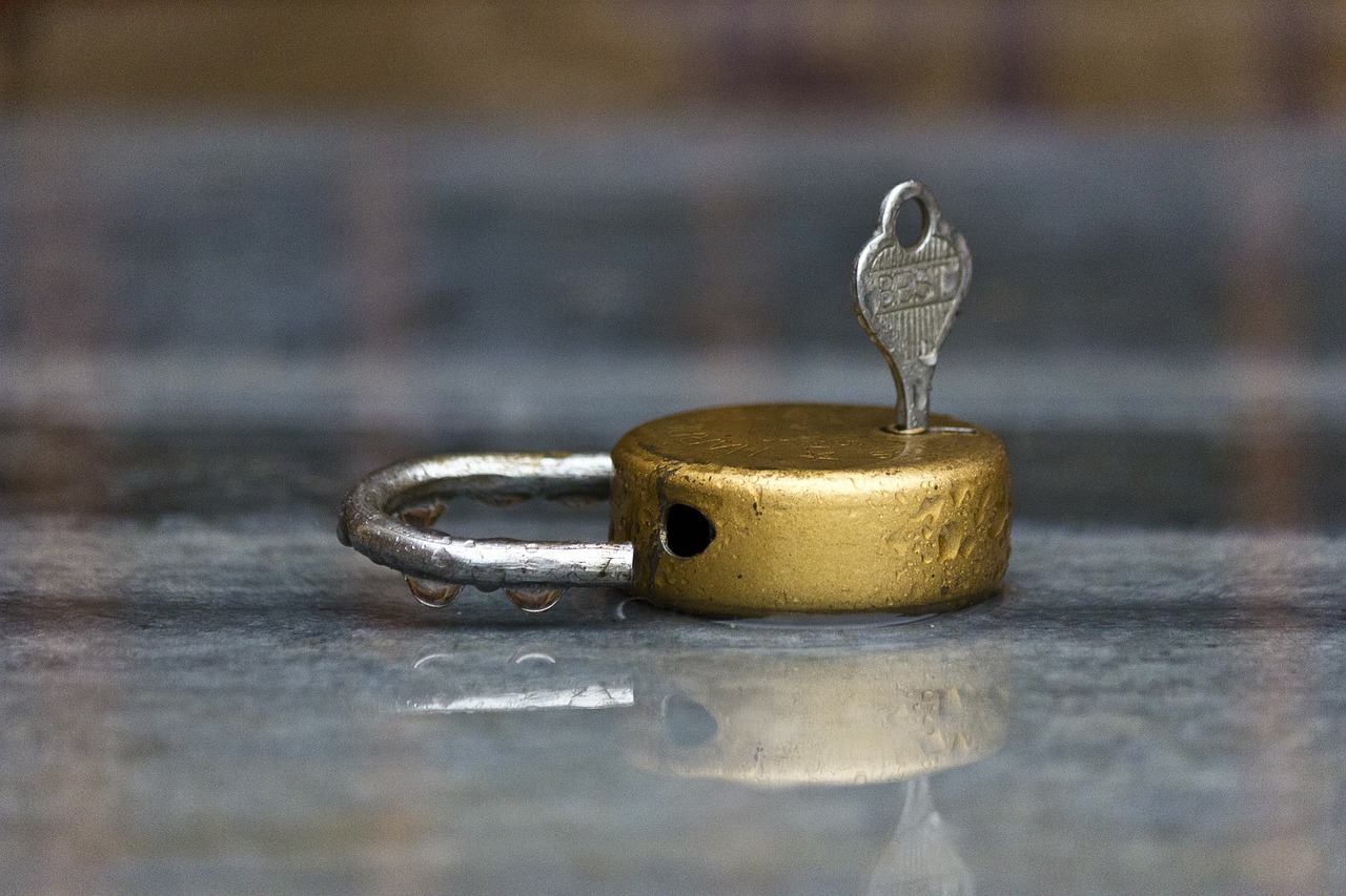 Beginner Lock Picking Items - Slosh Spot